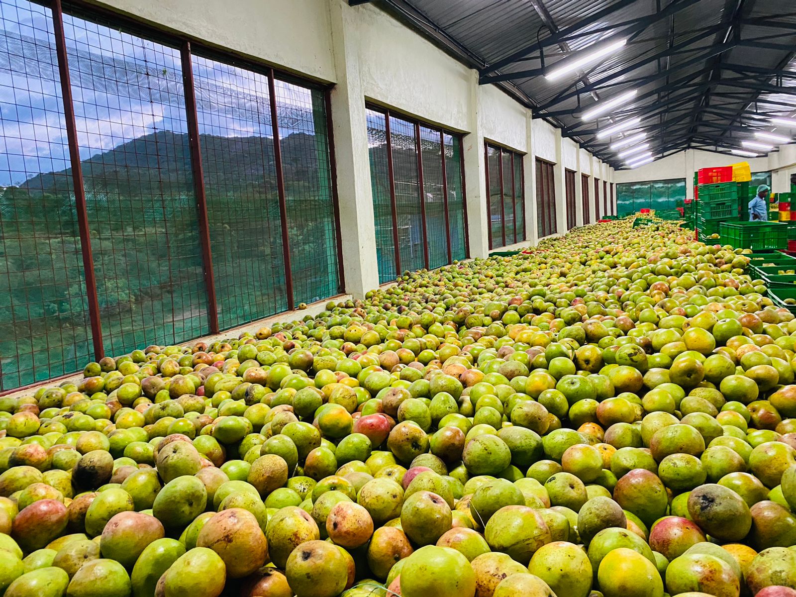 Investor-ready Opportunities - Agroprocessing: Establishment of A Fruit ...